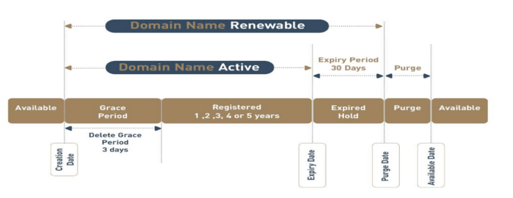 .ae Domain Lifecycle Explained | AEserver Guide