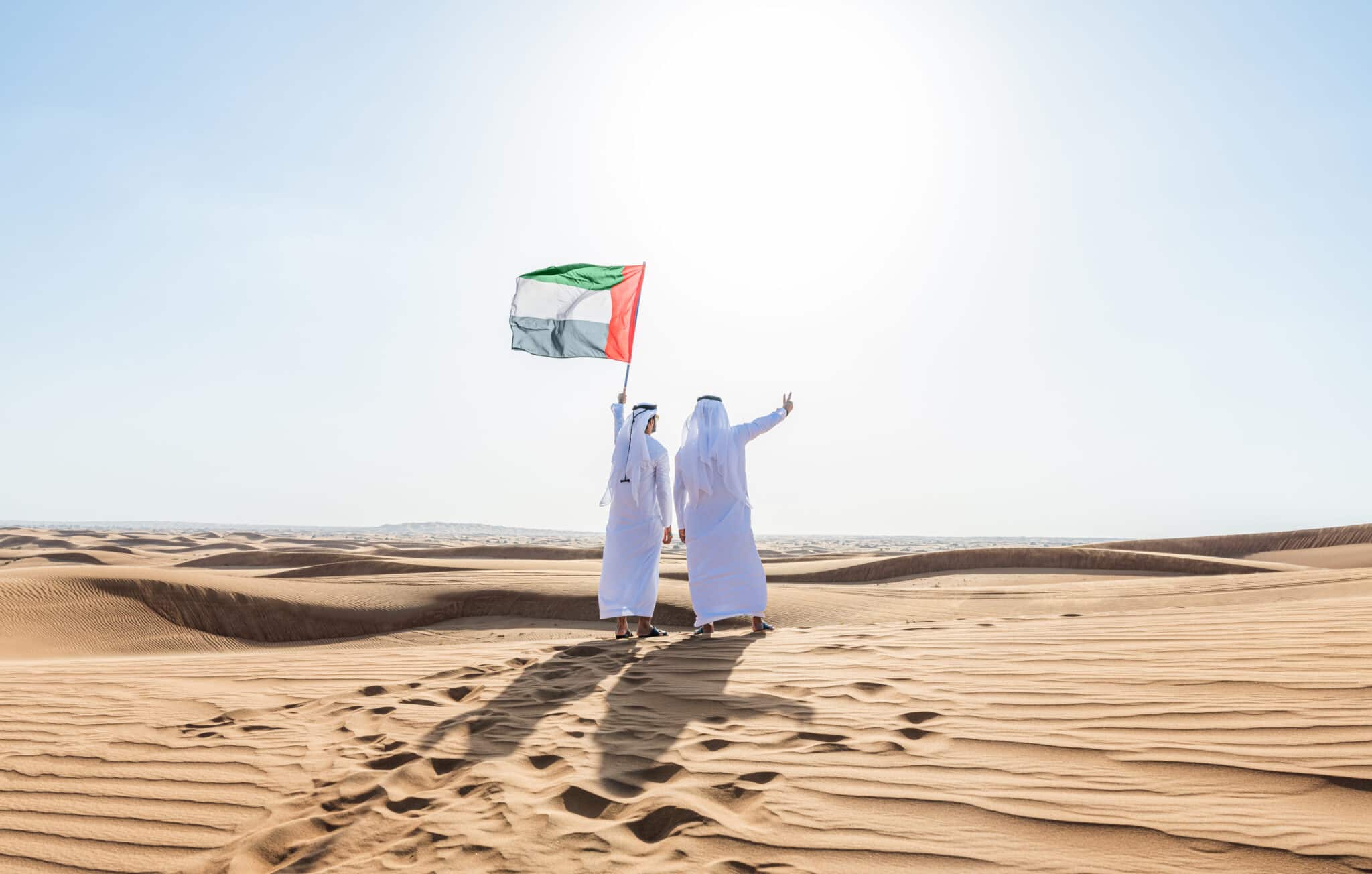 The History of the .ae Domain: UAE's ccTLD Explained